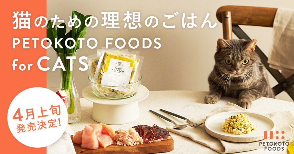 NEWS | 株式会社PETOKOTO（ペトコト）